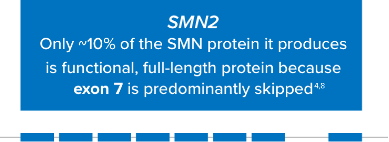 What is SMA? | SPINRAZA® (nusinersen) | HCP